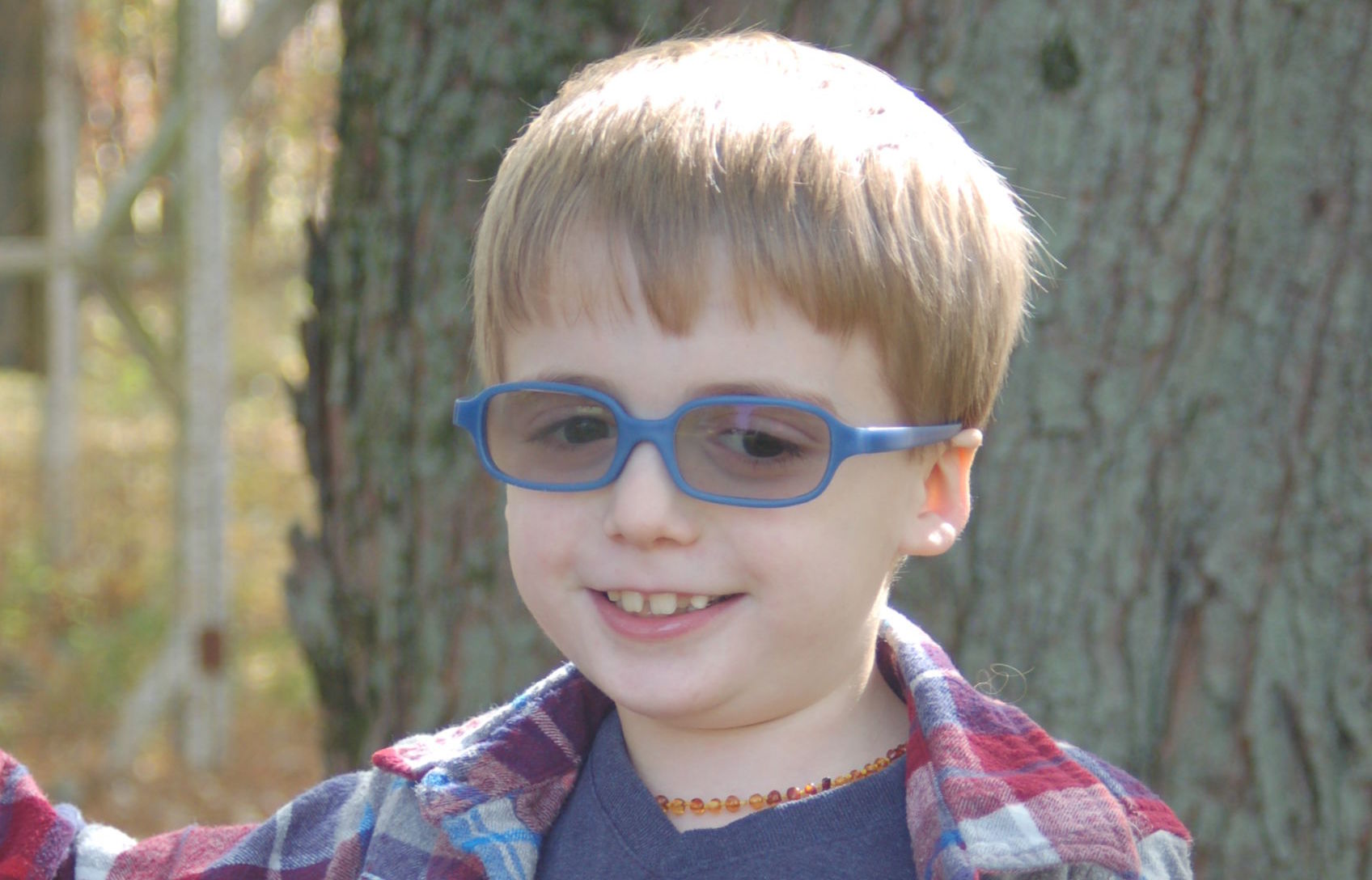 Emmett - Xia-Gibbs Society